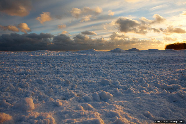 Mars Beach – Lagoon Report -- Toronto Island Photography