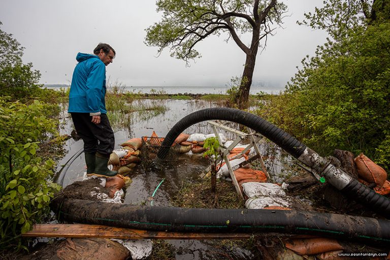 Sandbag Sump – Lagoon Report -- Toronto Island Photography